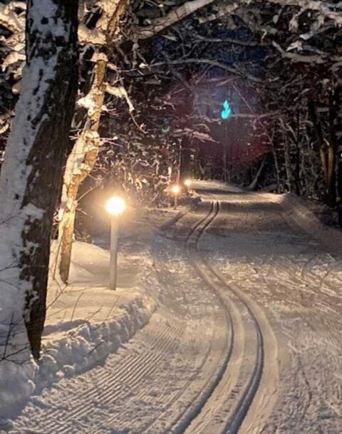 Trail Lighting - Halibrite Innovative Airfield Lighting